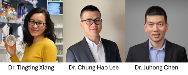 Drs. Xiang, Lee and Chen | Bioengineering